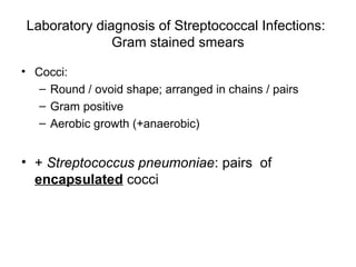 Laboratory diagnosis gram positive and gram negative cocci | PPT
