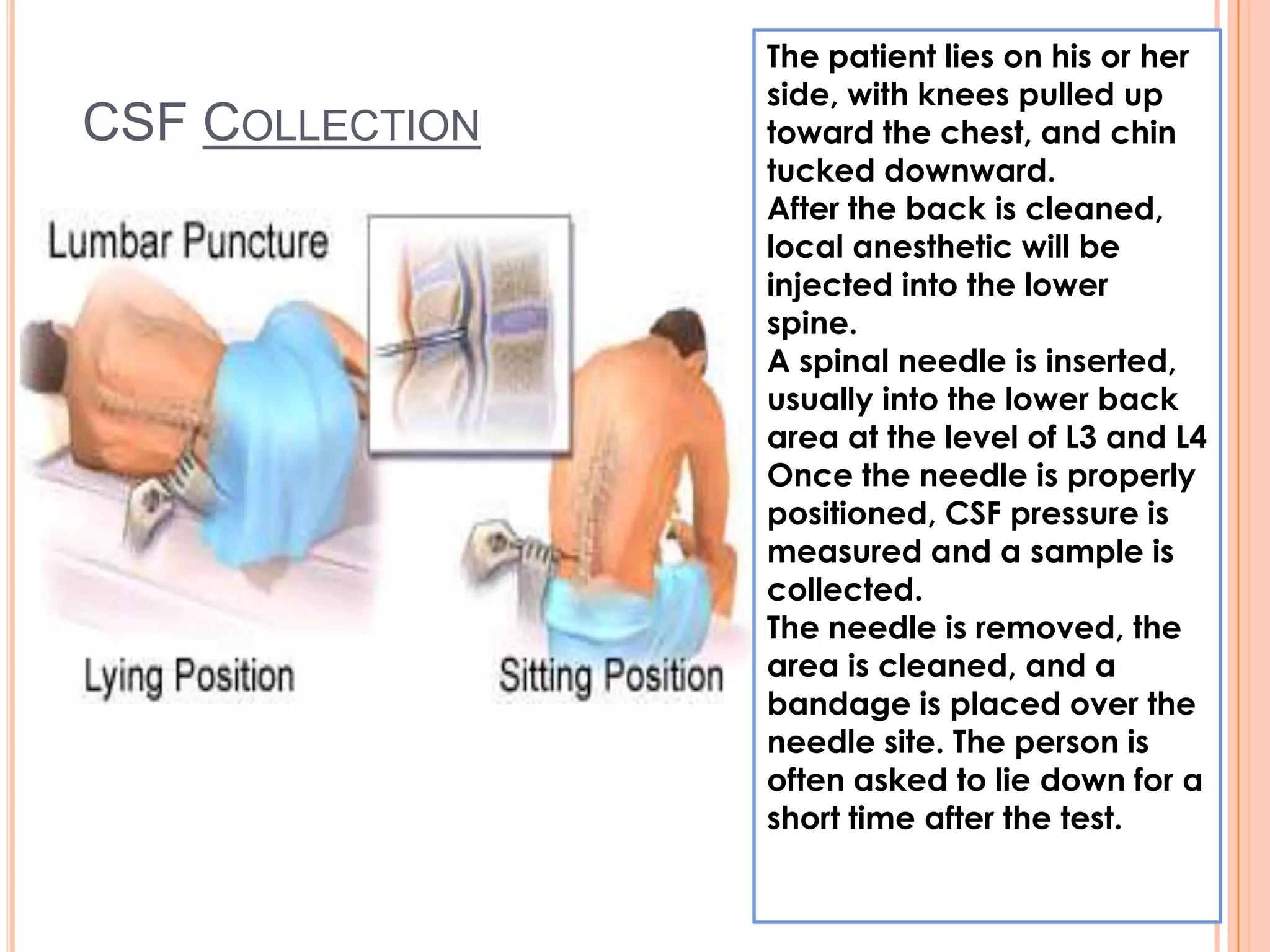 Laboratory diagnosis of PUO | PPTX