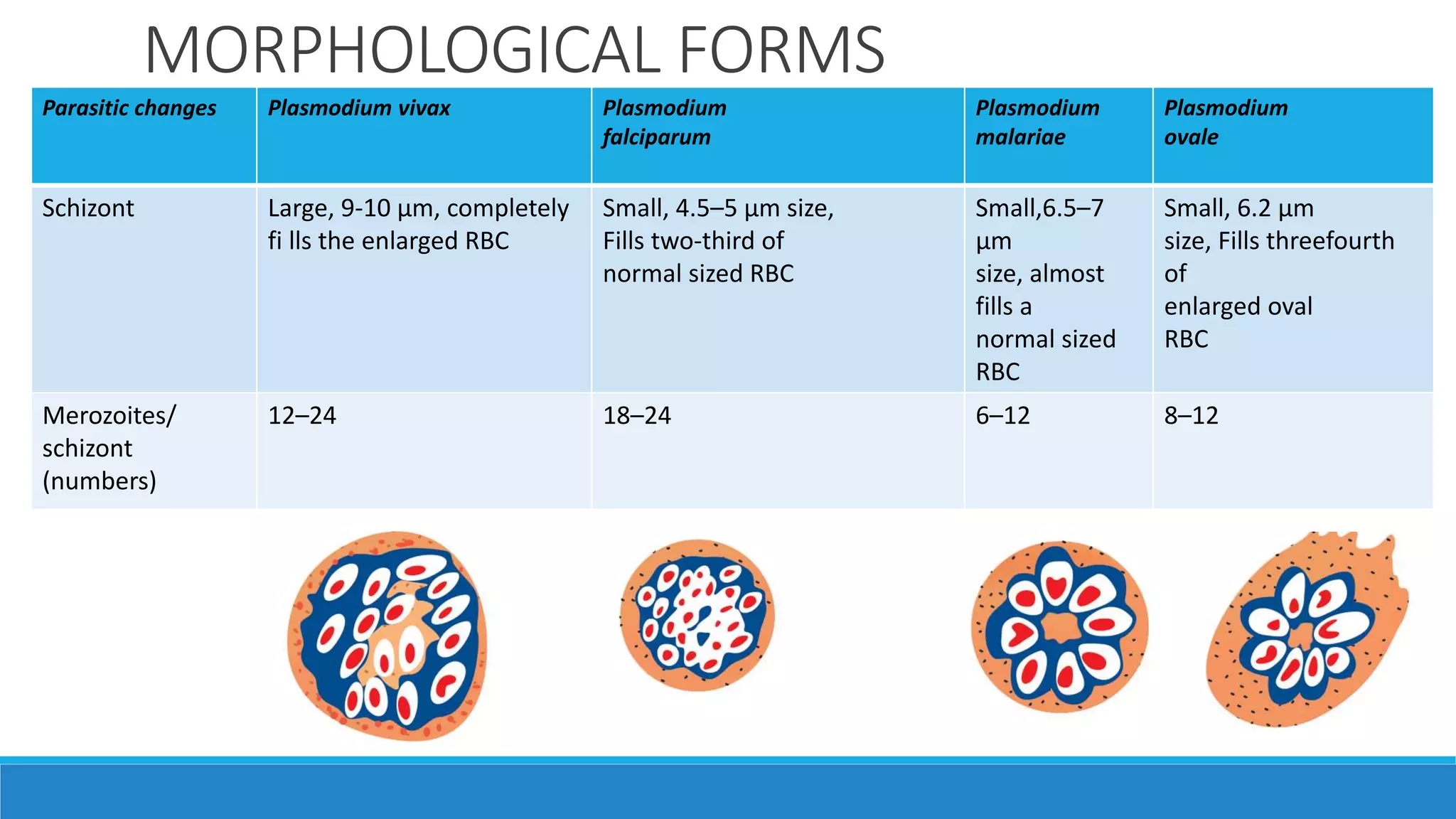 LABORATORY DIAGNOSIS OF malaria.pptx
