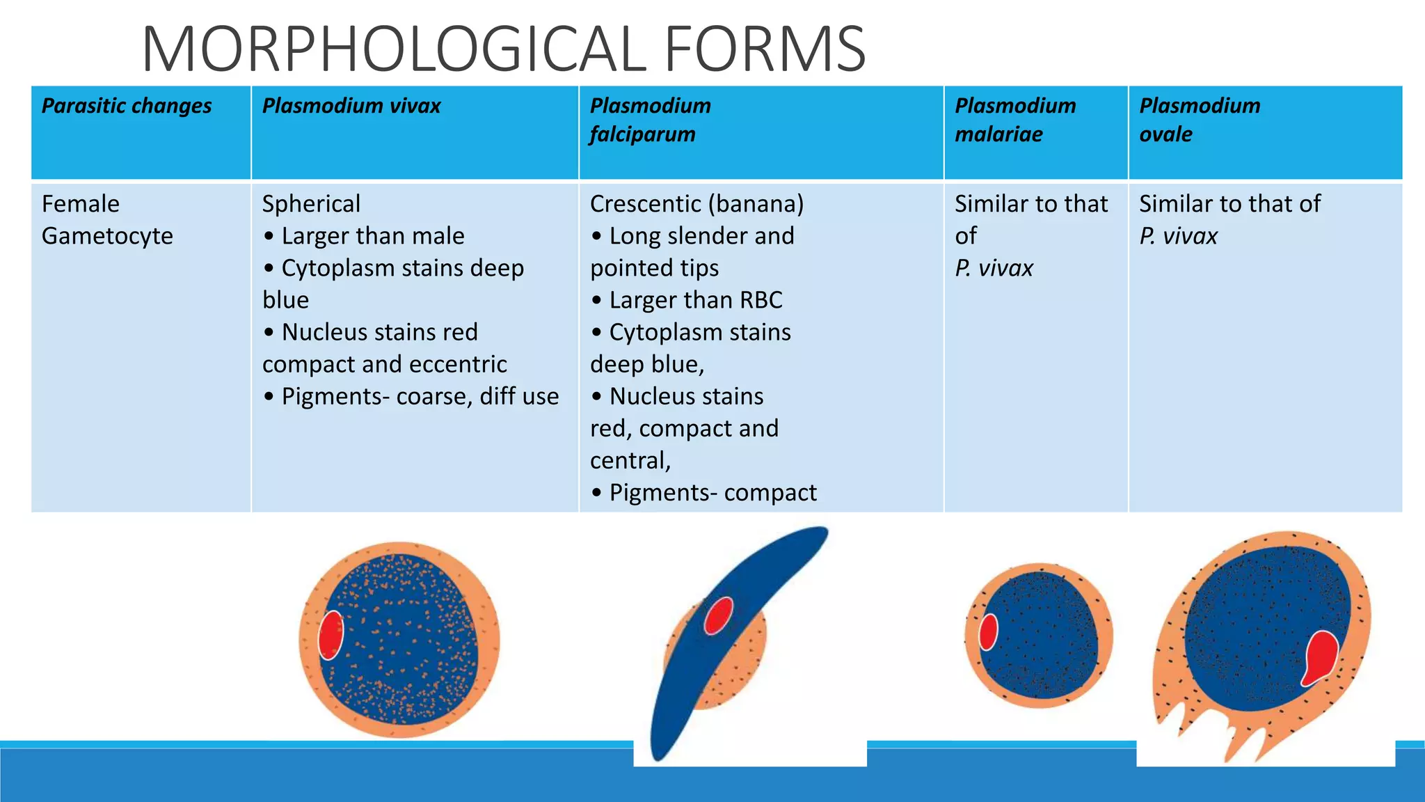 LABORATORY DIAGNOSIS OF malaria.pptx
