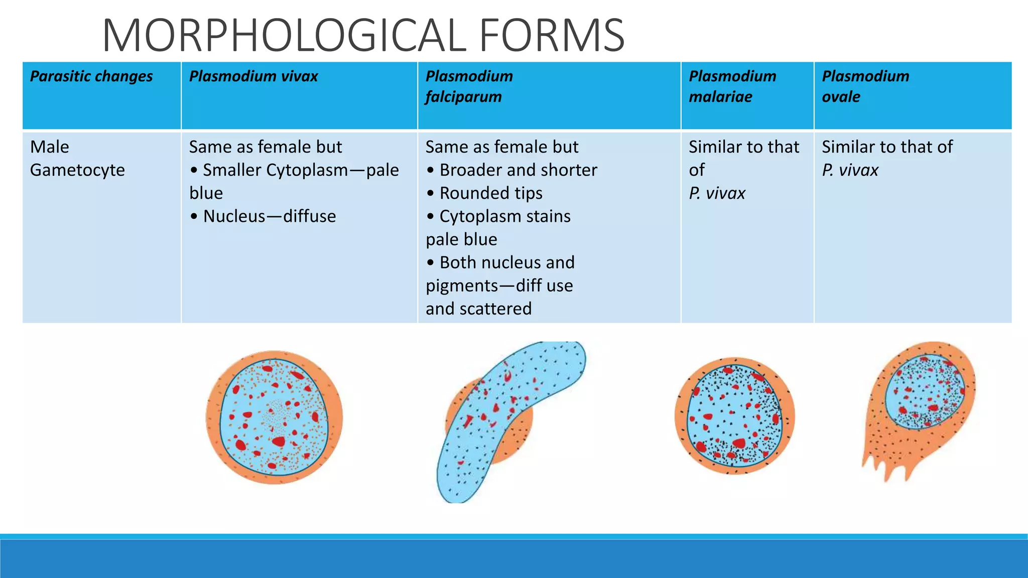 LABORATORY DIAGNOSIS OF malaria.pptx