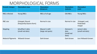 LABORATORY DIAGNOSIS OF malaria.pptx