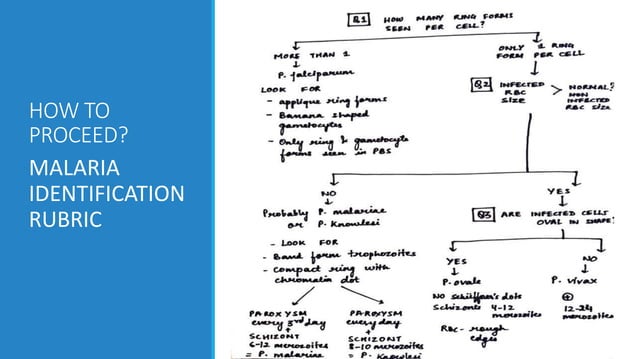 LABORATORY DIAGNOSIS OF malaria.pptx