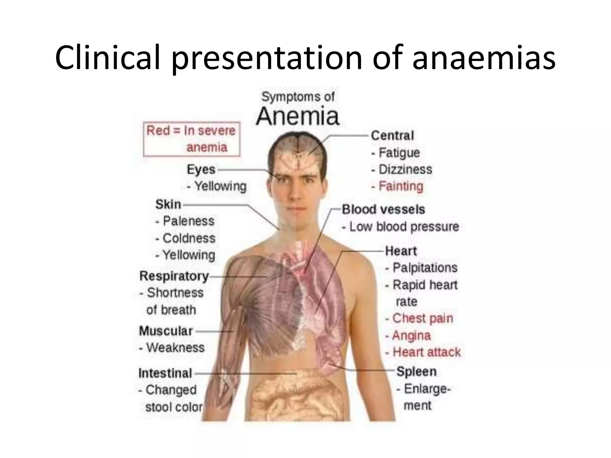 Laboratory diagnosis of anemia | PPTX