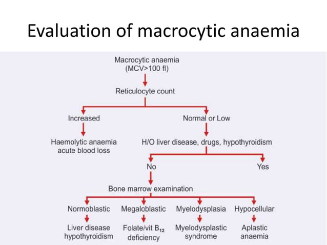 Laboratory diagnosis of anemia | PPTX