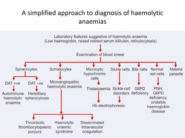 Laboratory diagnosis of anemia
