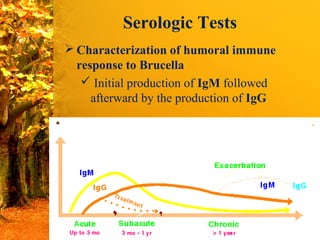 Laboratory diagnosis of brucellosis | PPT