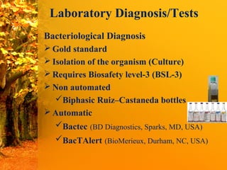 Laboratory diagnosis of brucellosis | PPT