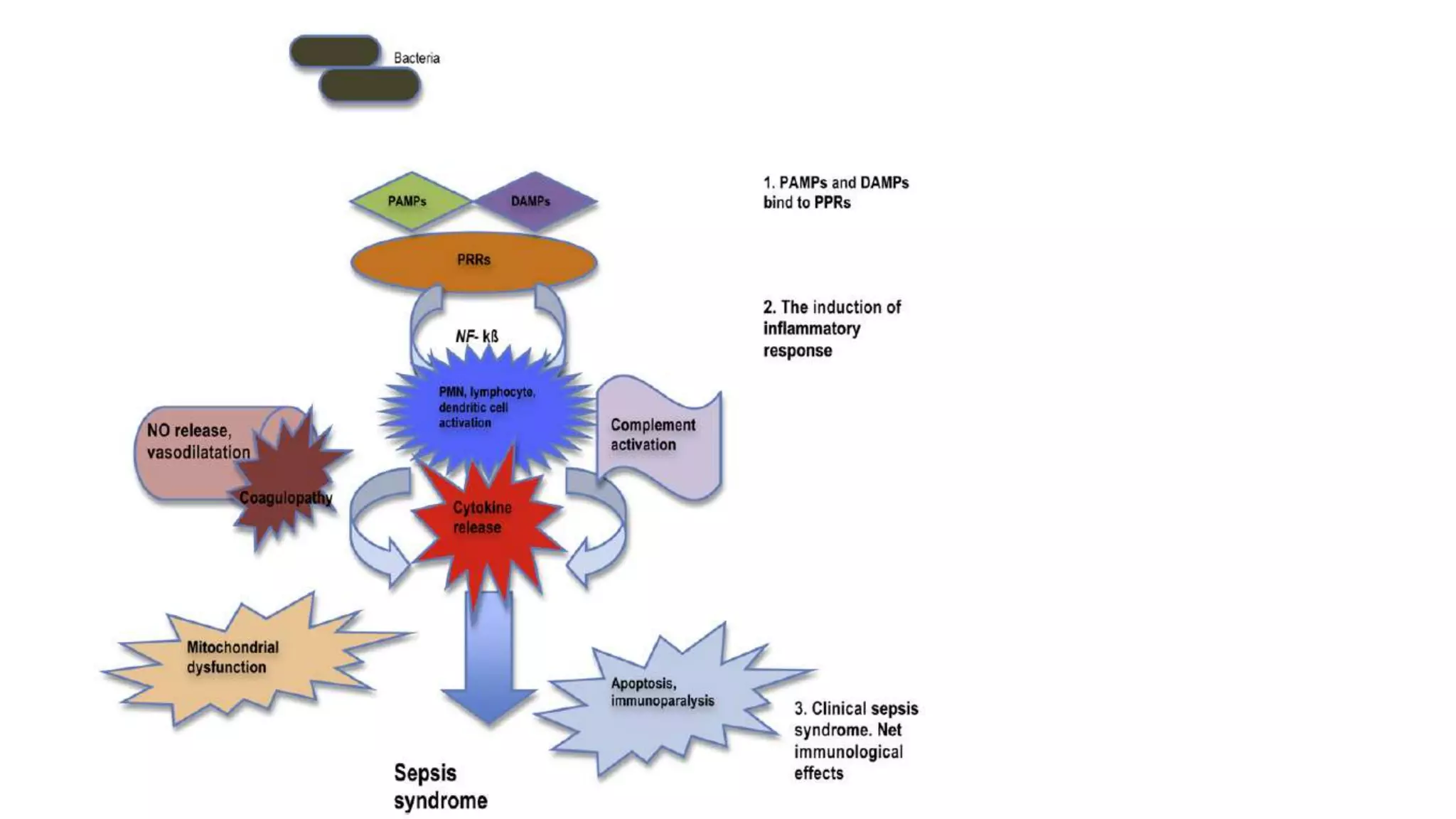 Laboratory diagnosis of Blood Stream Infections (BSIs) | PPTX