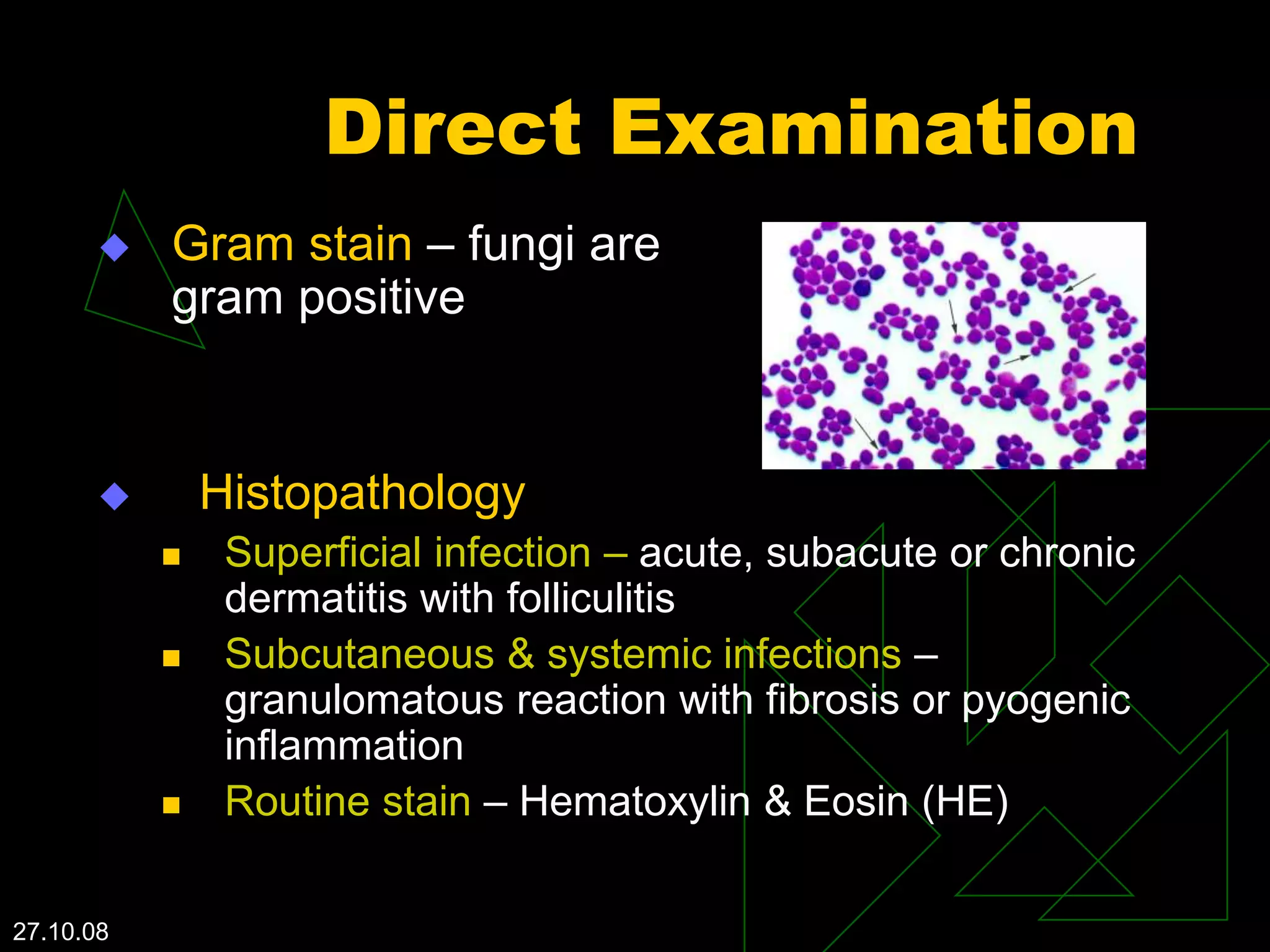 Laboratory diagnosis of fungal infections | PPT