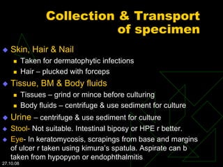 Laboratory diagnosis of fungal infections | PPT