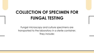 Laboratory Diagnosis of Fungal Infections | PDF