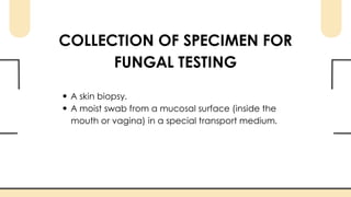 Laboratory Diagnosis of Fungal Infections | PDF