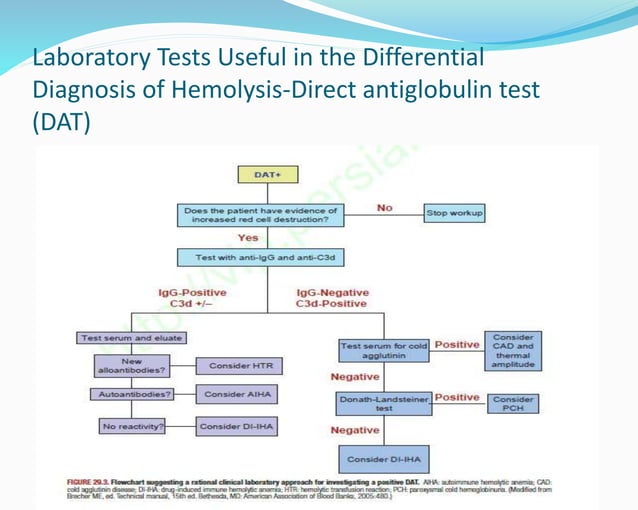 laboratory diagnosis of hemolytic anemia-190509145931.pptx | Blood ...