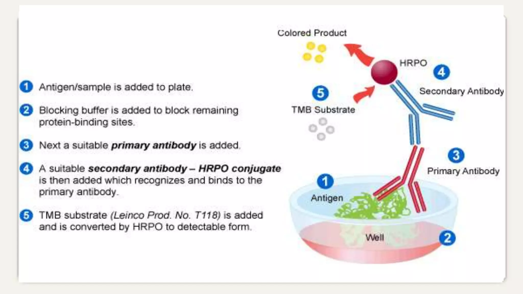 Laboratory diagnosis of (hiv) | PPTX