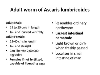 Laboratory diagnosis of infection due to Intestinal Nematodes.pptx