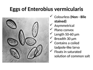 Laboratory diagnosis of infection due to Intestinal Nematodes.pptx