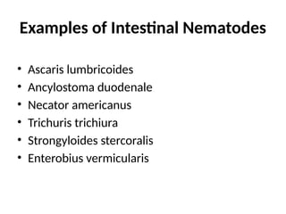 Laboratory diagnosis of infection due to Intestinal Nematodes.pptx