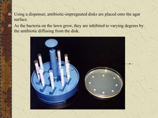 Laboratory diagnosis of infectious diseases dr.ihsan alsaimary | PPT