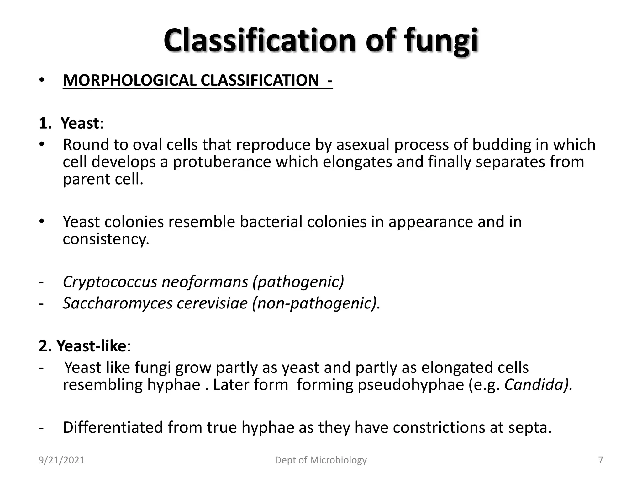 Laboratory diagnosis of mycology microscopy, staining techniques ...