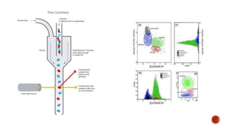 Laboratory diagnosis of neoplasm | PPTX