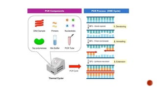 Laboratory diagnosis of neoplasm | PPTX