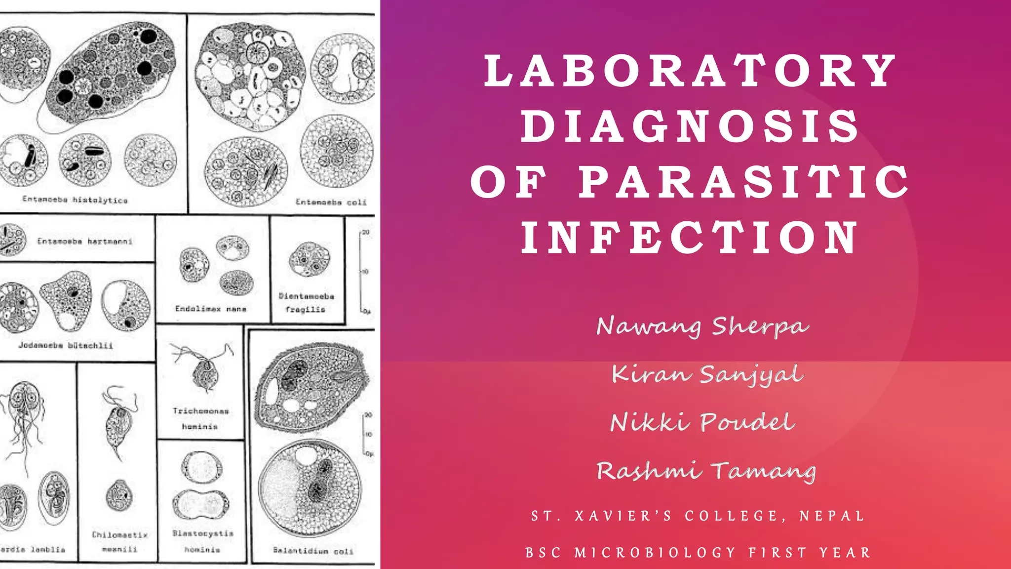 Laboratory diagnosis of parasites | PPTX
