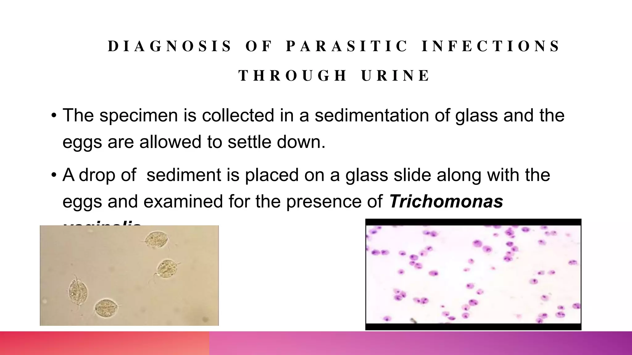 Laboratory diagnosis of parasites | PPTX