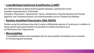 Laboratory diagnosis of parasites | PPTX