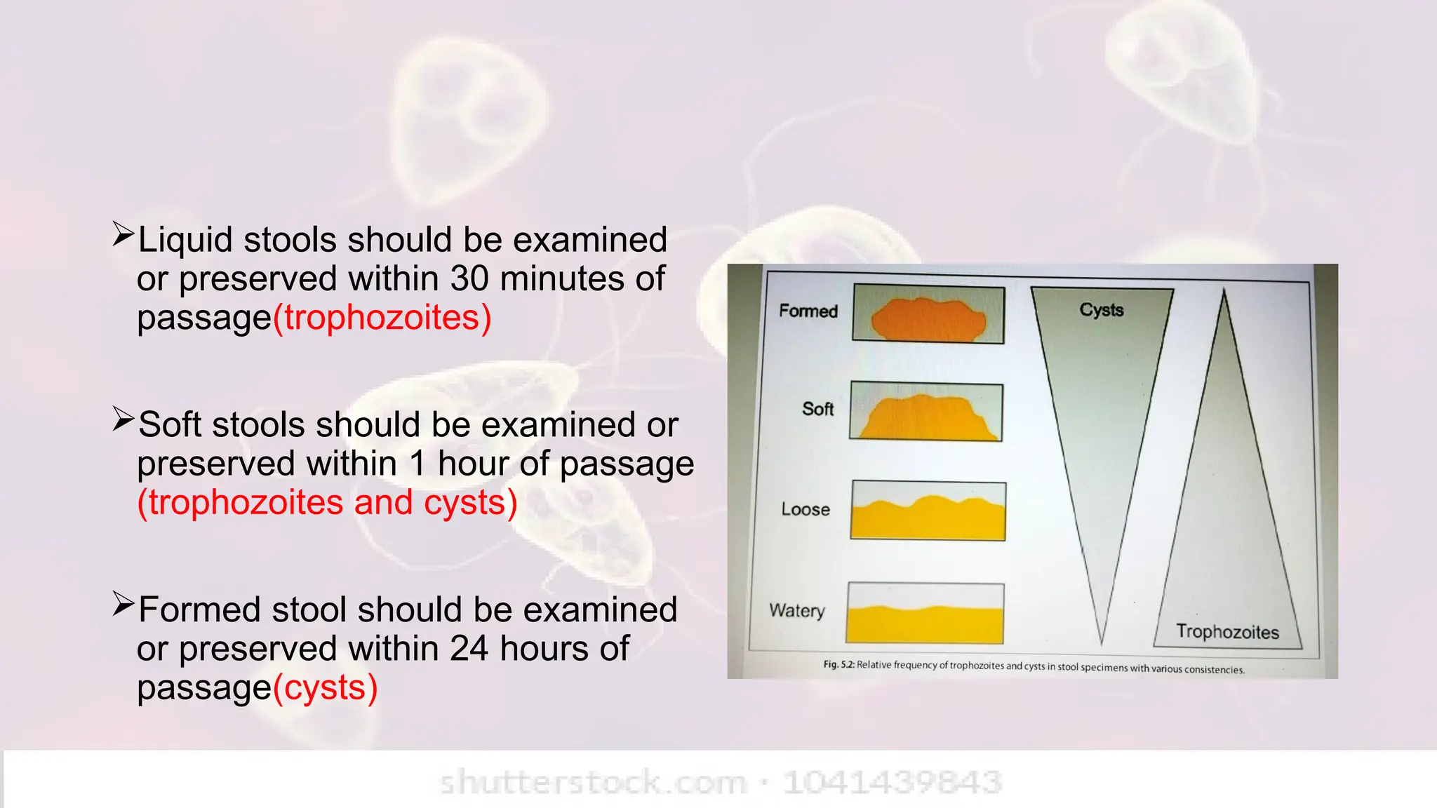 Laboratory diagnosis of parasitology-1.pptx