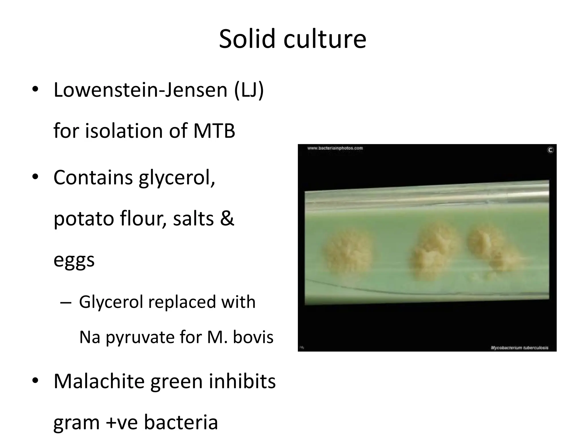 Laboratory diagnosis of pulmonary TB .ppt