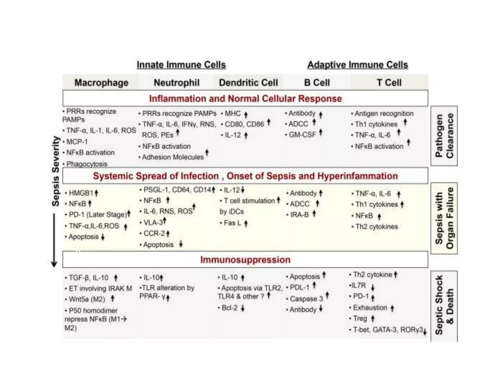 Laboratory diagnosis of sepsis | PPTX