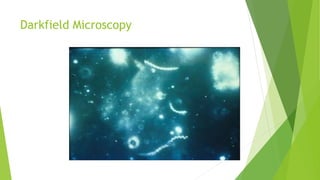 Laboratory diagnosis of syphilis | PPTX