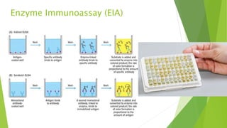 Laboratory diagnosis of syphilis | PPTX