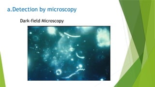 Laboratory Diagnosis of Syphilis 2.0.pptx