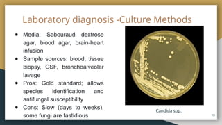Laboratory Diagnosis of Systemic Fungal Infections.pptx