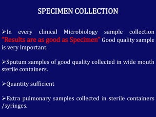 Laboratory diagnosis of Tuberculosis | PPTX