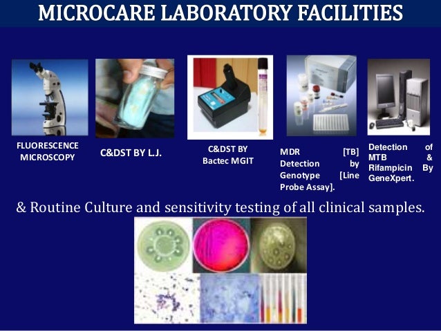 Laboratory diagnosis of Tuberculosis