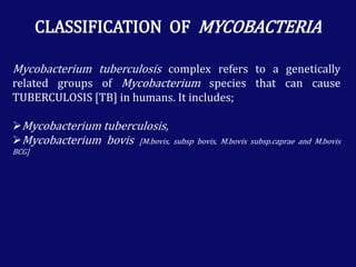 LaboratorydiagnosisofTB.pptx