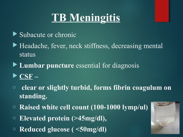 Laboratory diagnosis of Tuberculosis gs | PPT | Lung and Respiratory Health | Diseases and ...