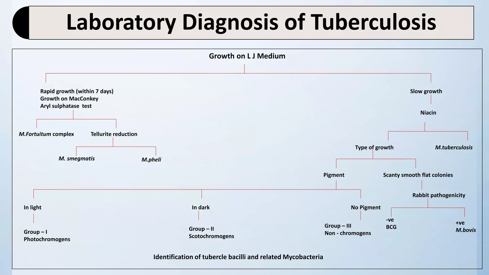Laboratory diagnosis of tuberculosis pract. | PPTX
