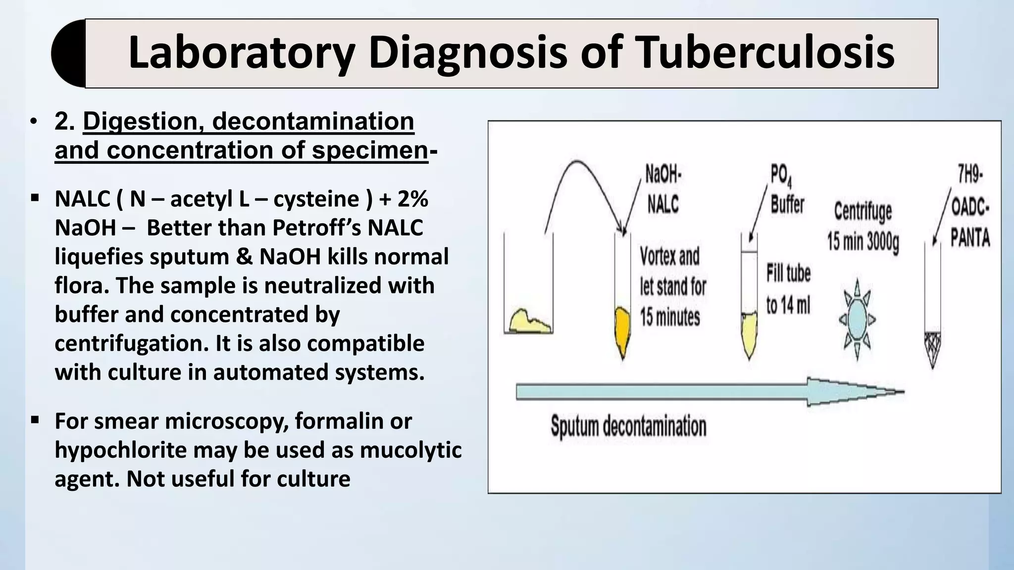 Laboratory diagnosis of tuberculosis pract. | PPTX