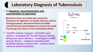 Laboratory diagnosis of tuberculosis pract. | PPTX