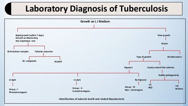 Laboratory diagnosis of tuberculosis pract.