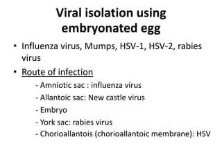 Laboratory diagnosis of viral infection | PPT