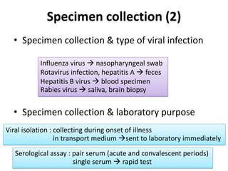 Laboratory diagnosis of viral infection | PPT