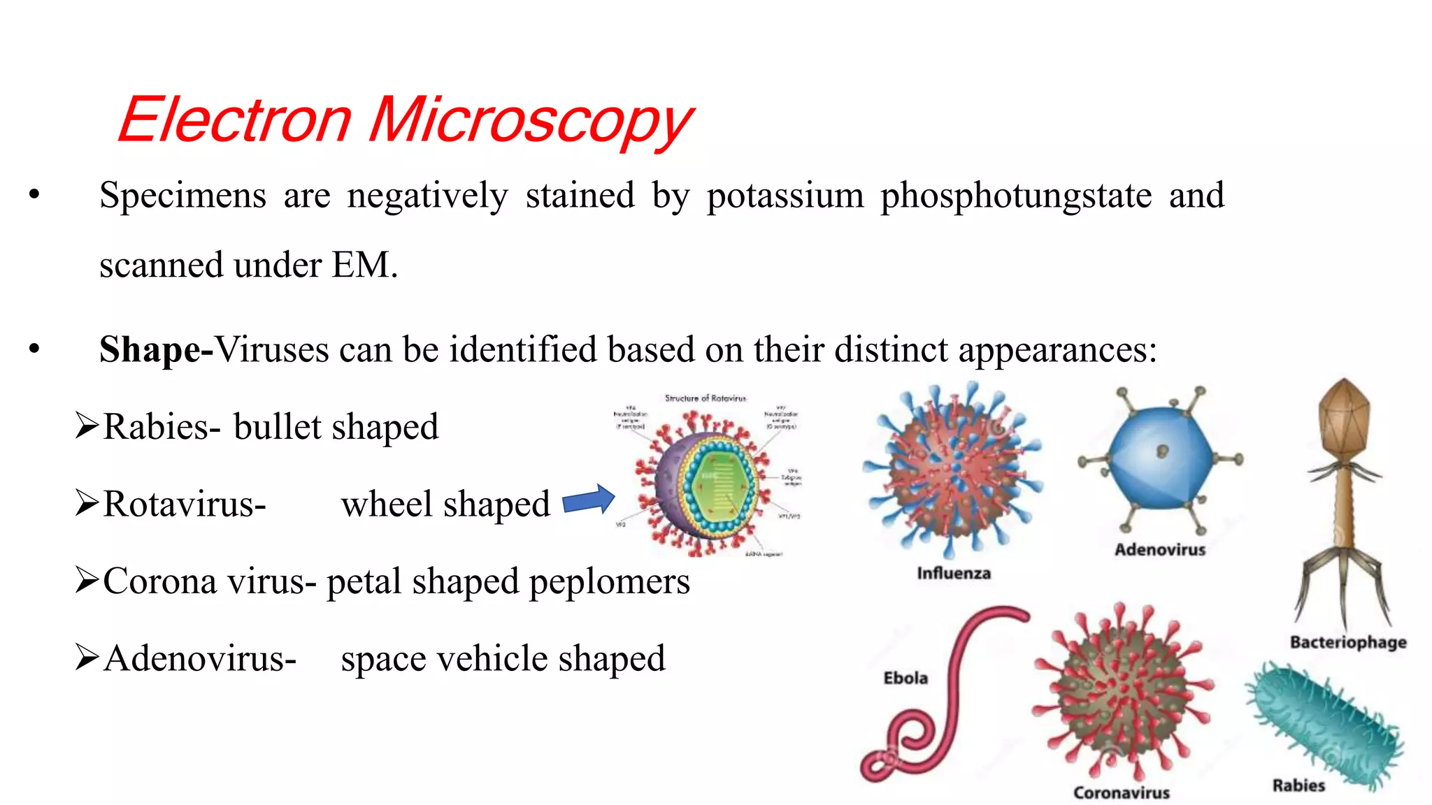 LABORATORY DIAGNOSIS OF VIRAL INFECTION.pptx