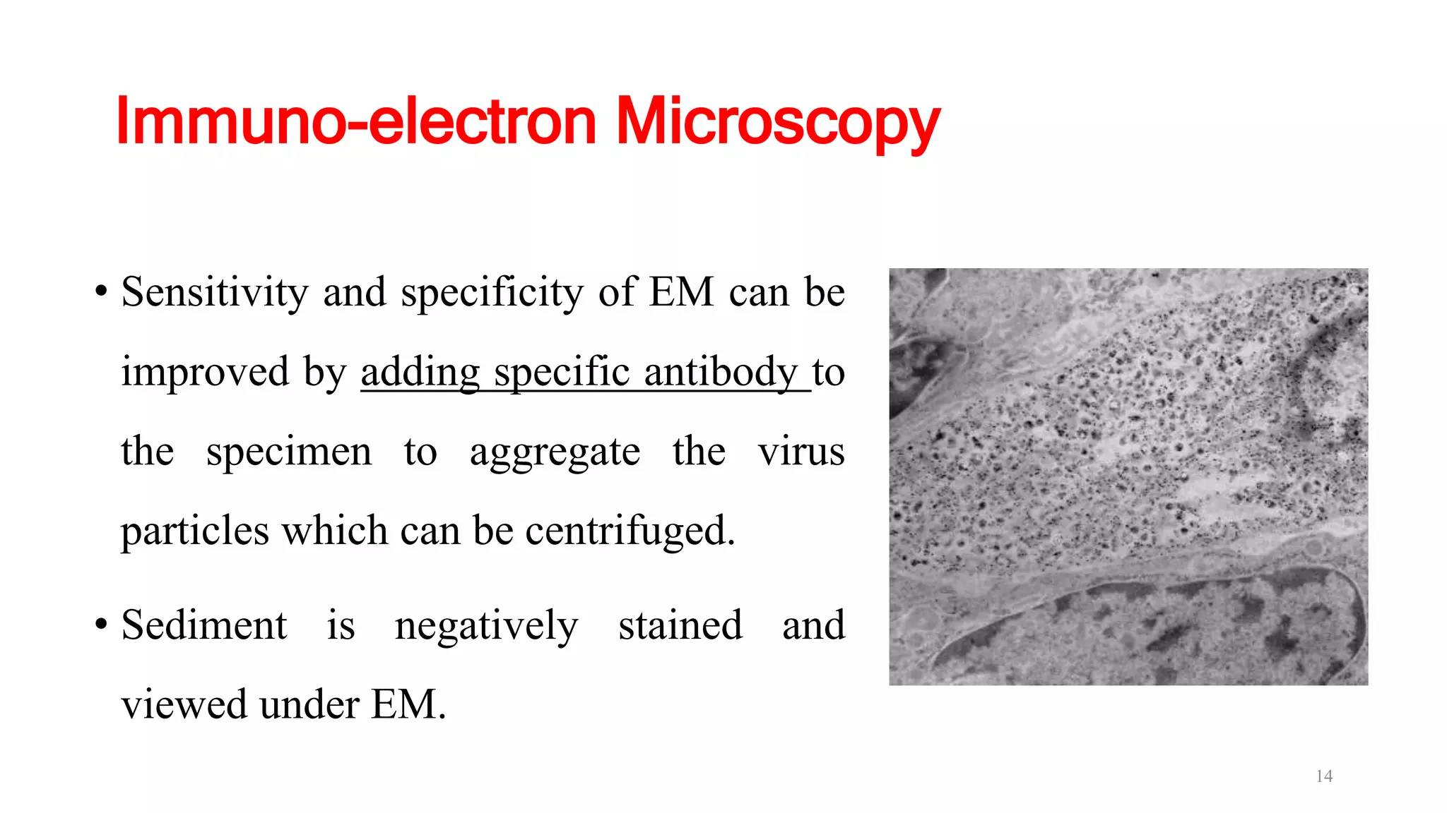 LABORATORY DIAGNOSIS OF VIRAL INFECTION.pptx