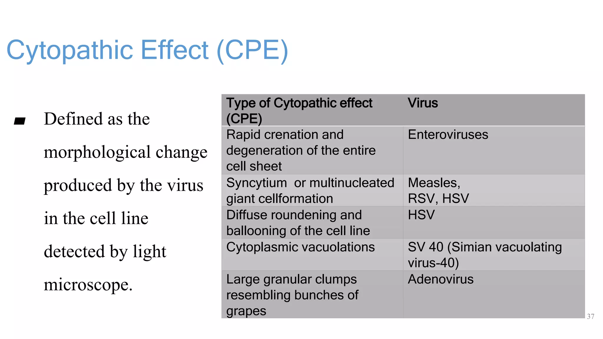 LABORATORY DIAGNOSIS OF VIRAL INFECTION.pptx