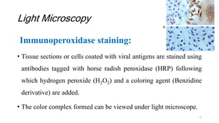 LABORATORY DIAGNOSIS OF VIRAL INFECTION.pptx